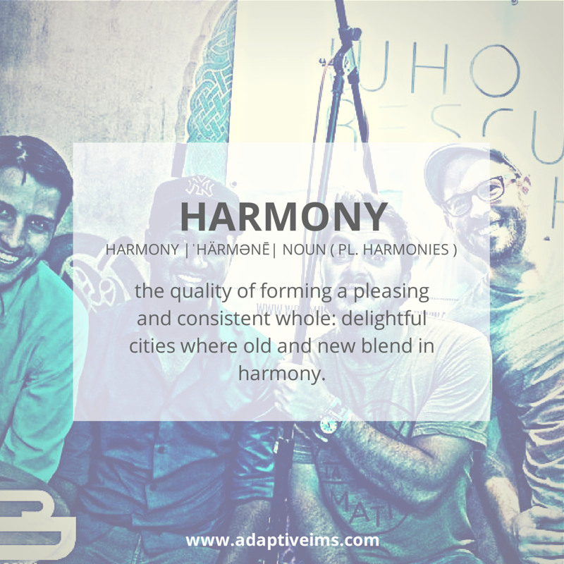 How to Create Harmony Amongst Your Digital Marketing Assets